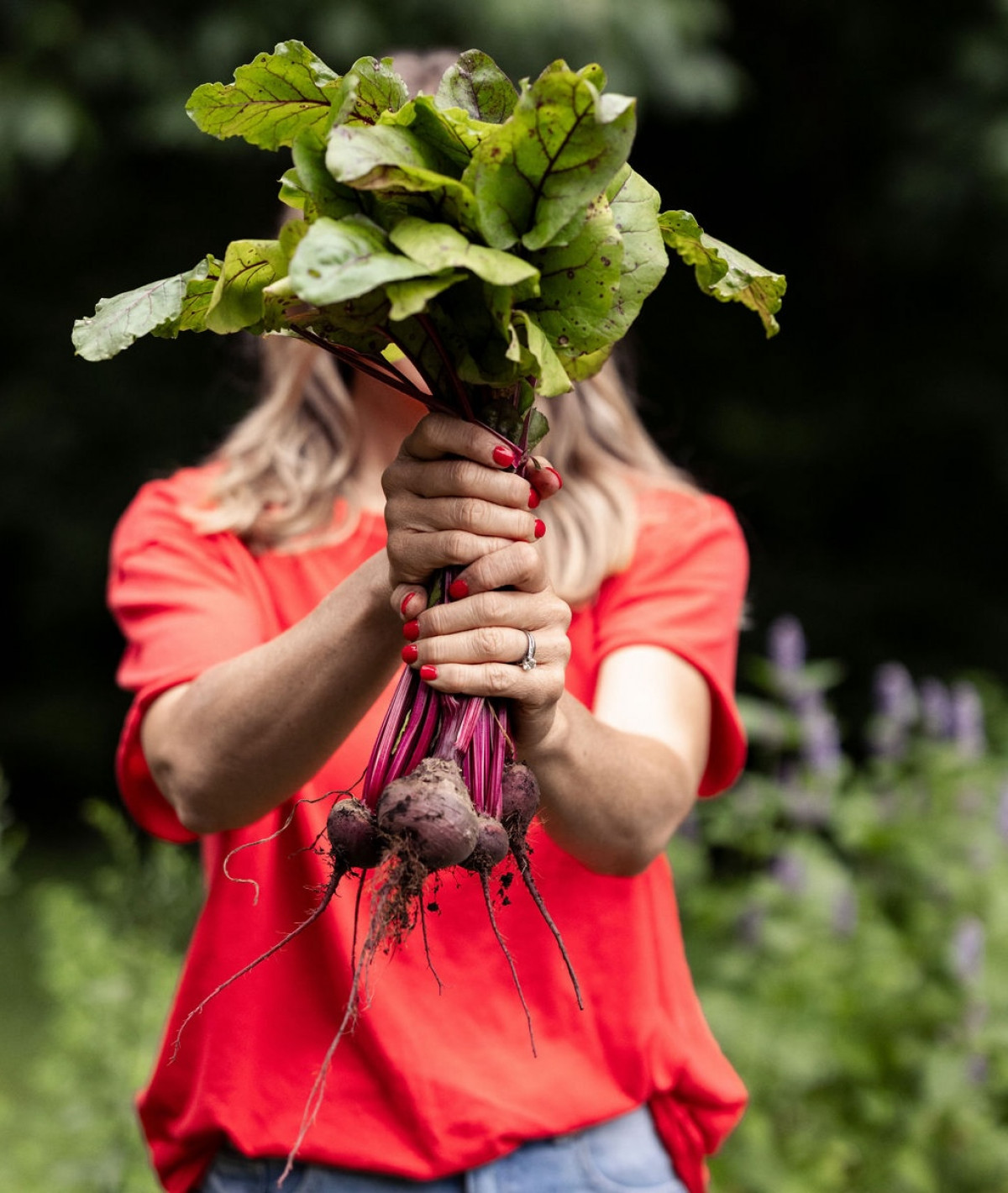12 Things You Didn't Know About Beets • Gardenary