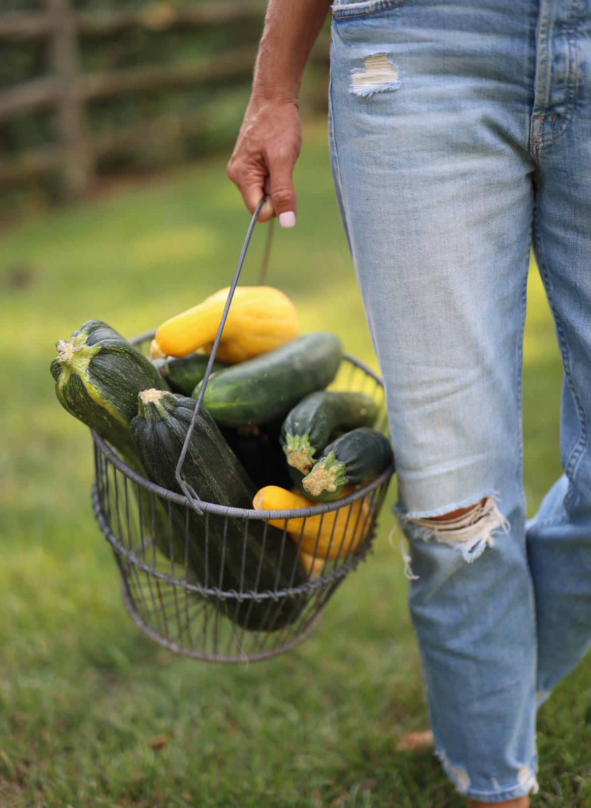 Your Complete Guide to Growing Organic Squash in a Kitchen Garden ...