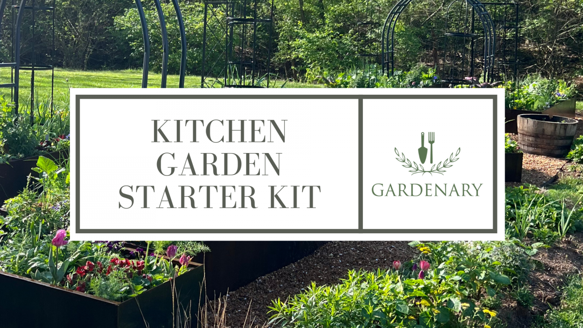 Kitchen Garden Starter Kit • Gardenary
