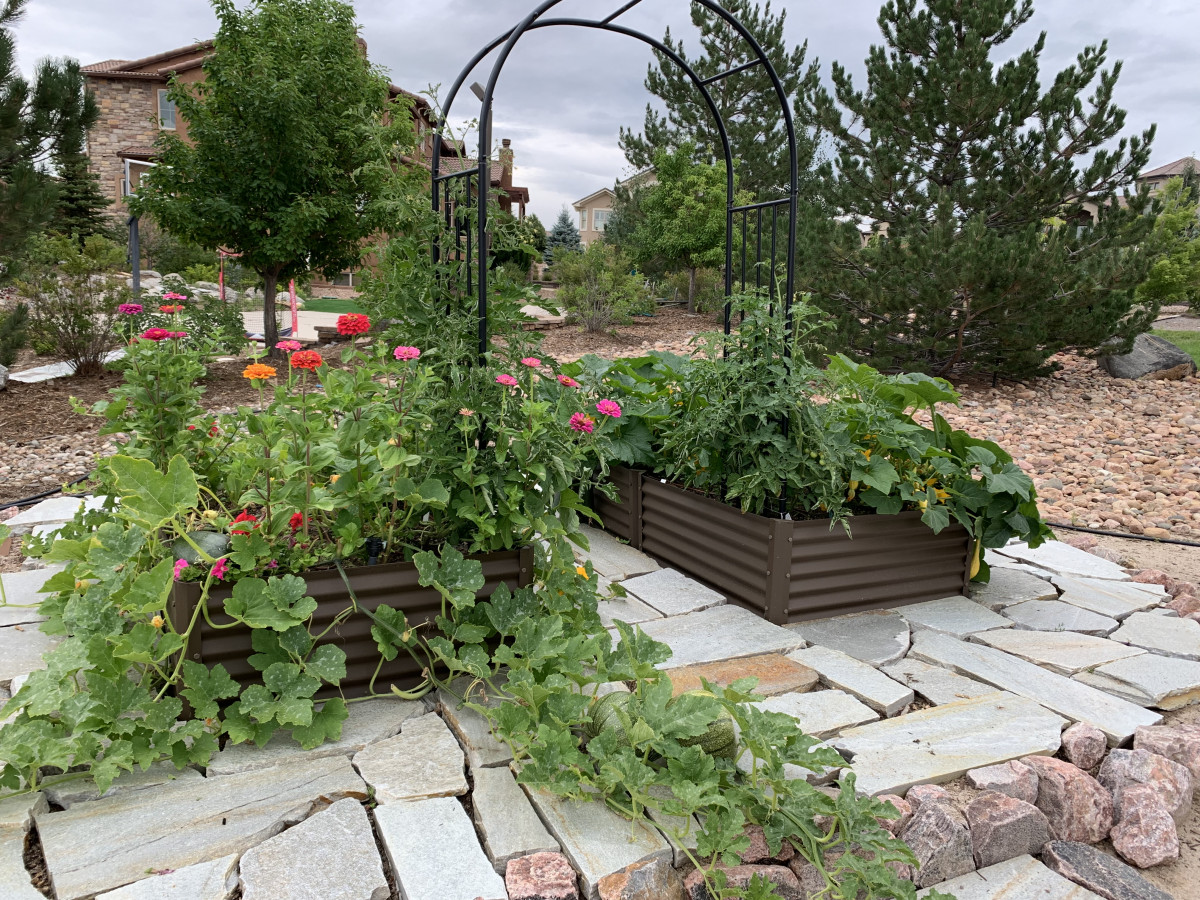 25 Inspiring Garden Before and After Photos from Gardenary Students ...