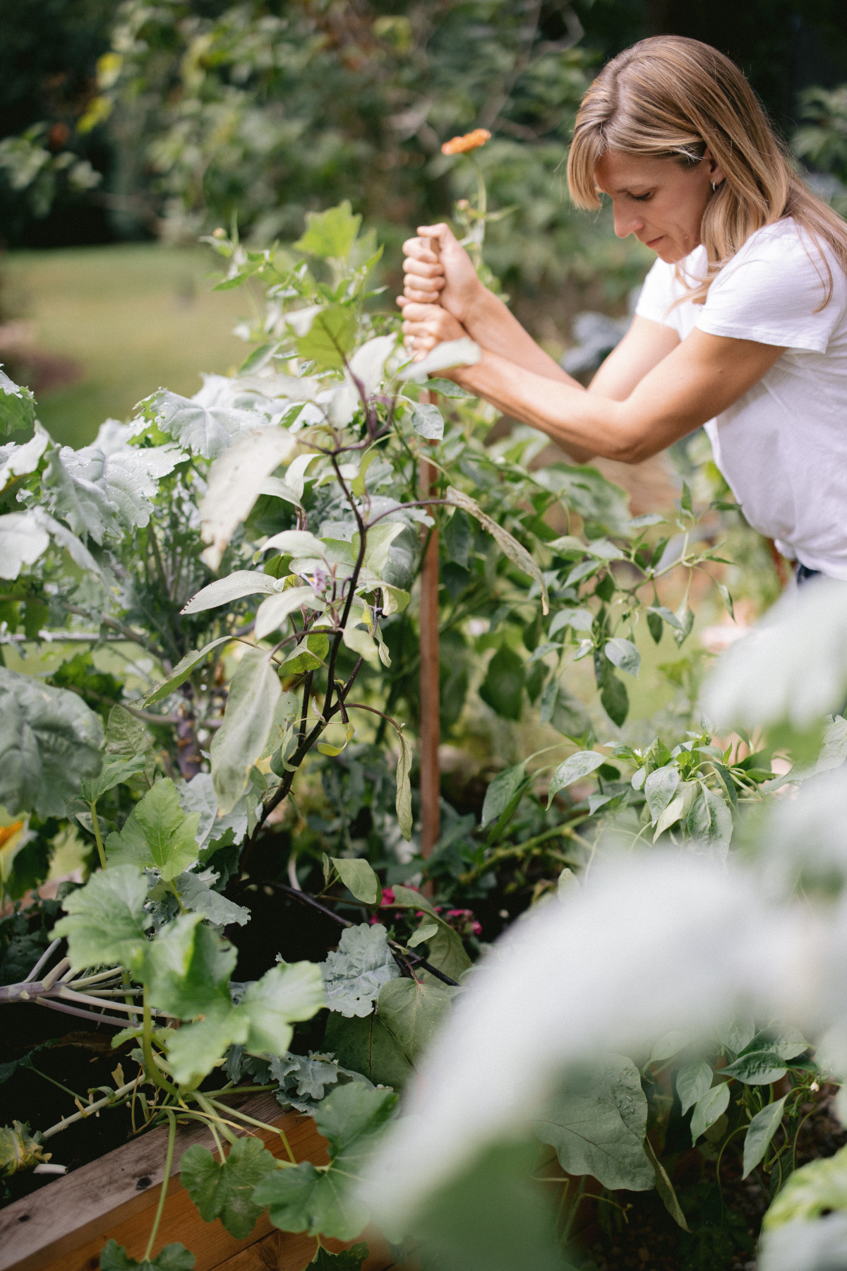 Tending Tips for Maintaining an Organic Kitchen Garden • Gardenary