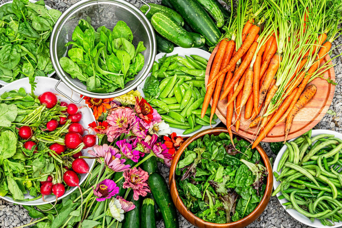 5 Easy Garden Recipes • Gardenary