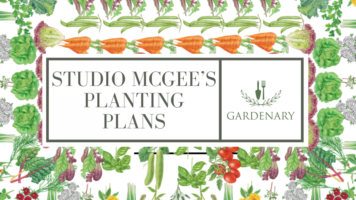 Shea McGee’s Planting Plans • Gardenary