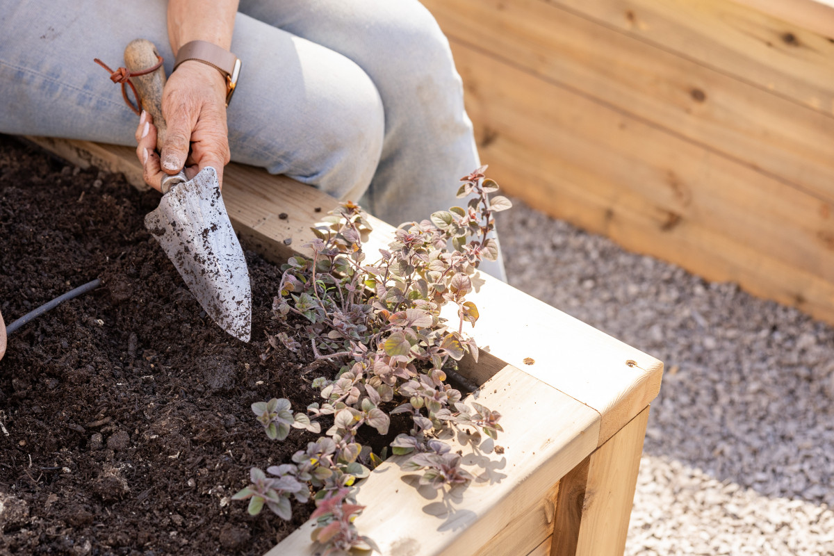 3 Common Gardening Issues Caused by Poor Soil Health (and How to Solve ...