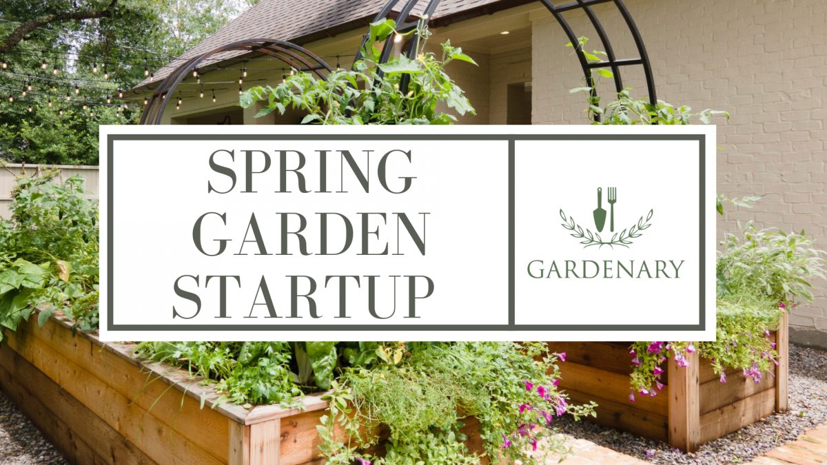 Spring Garden Startup Workshop - Simple Green Smoothies • Gardenary