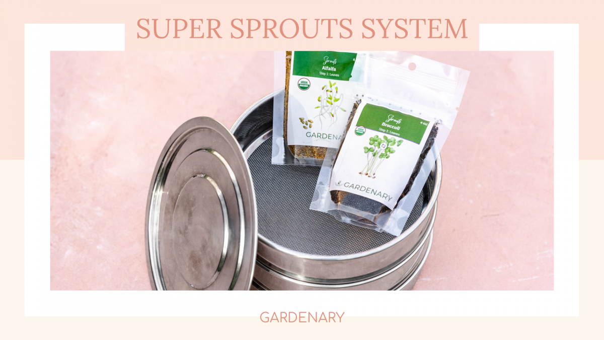Gardenary's Super Sprout System • Gardenary