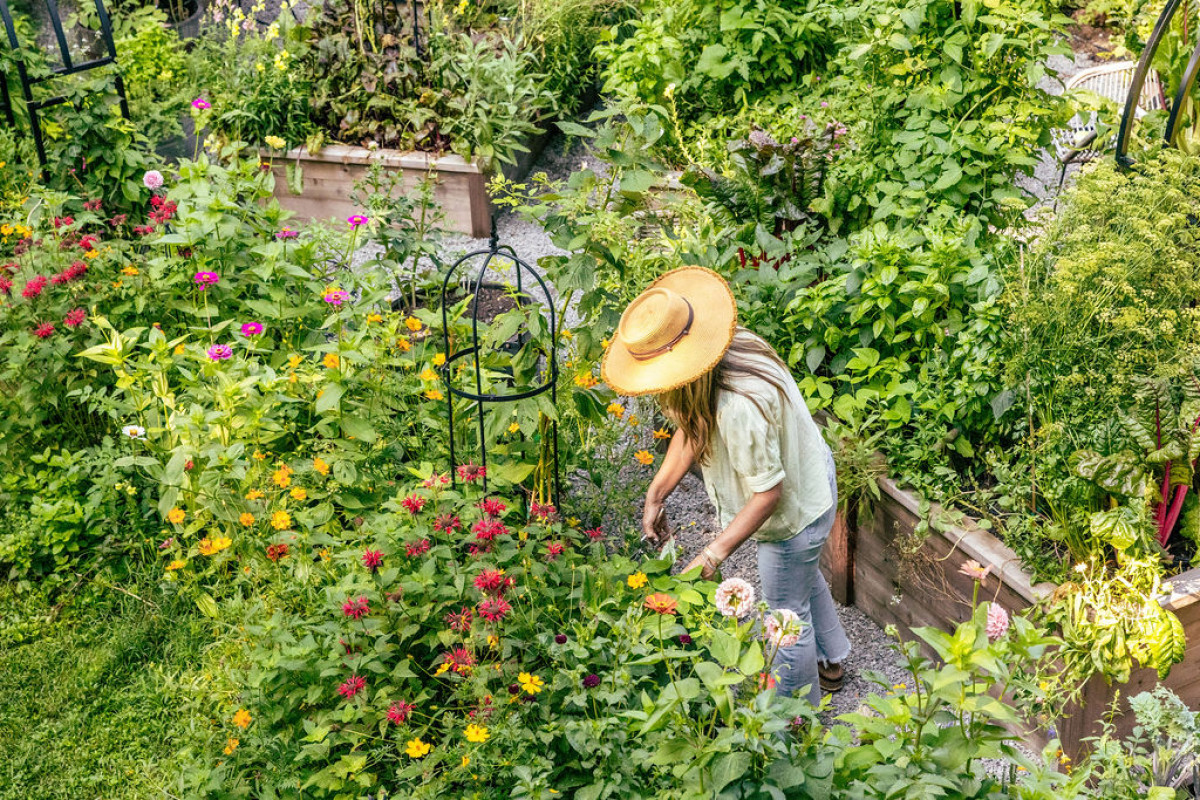 15 Easy Gardening Hacks • Gardenary