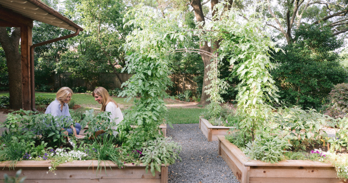 How To Know If You Know Enough To Become A Garden Coach • Gardenary