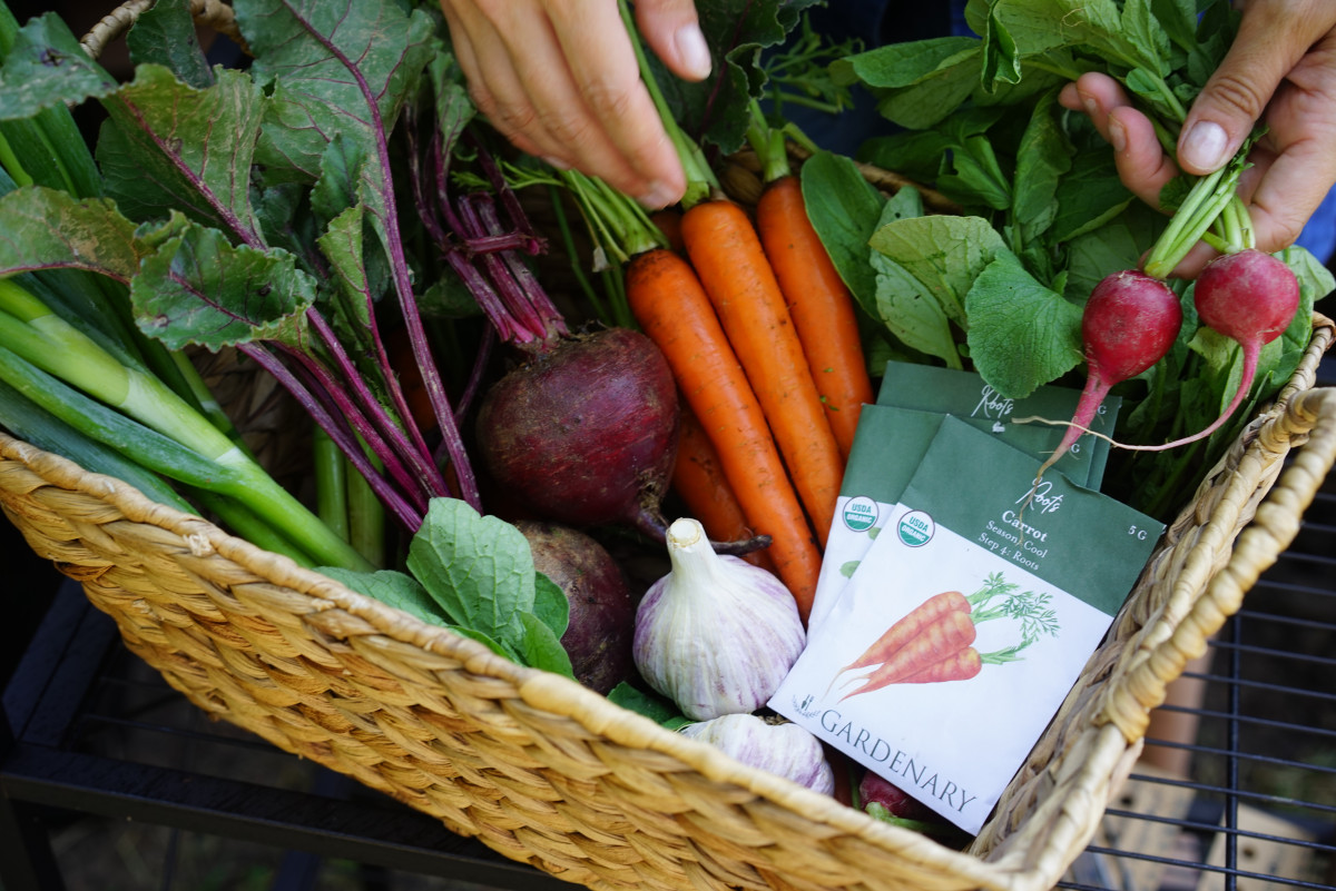 Root Vegetable Grow Kit • Gardenary