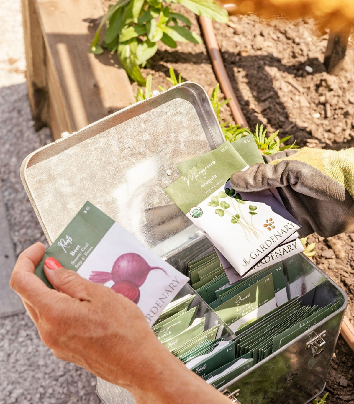 Can Seeds Expire or Go Bad? • Gardenary