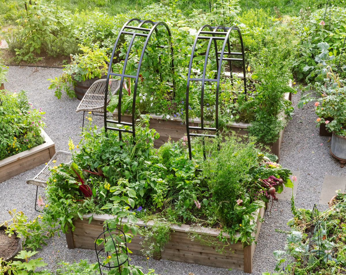 The Complete Guide to Raised Beds • Gardenary
