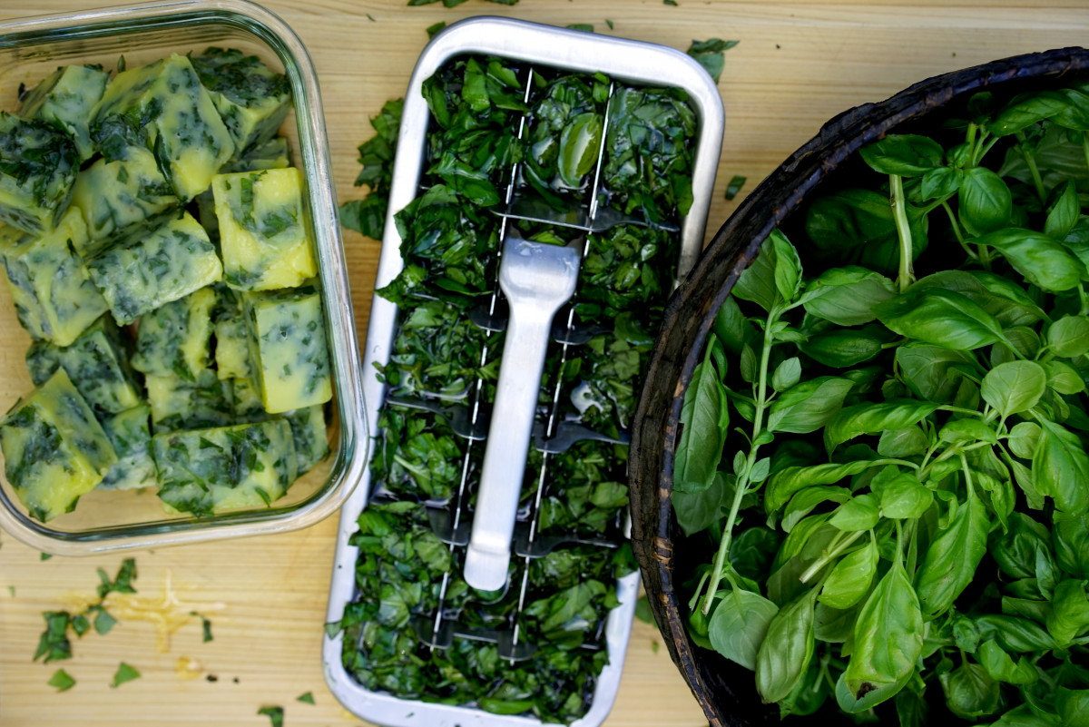 How to Freeze Basil from Your Garden • Gardenary