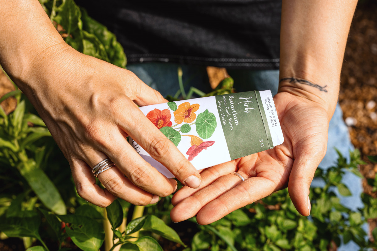 4 Ways to Save Money on Seeds for Your Garden • Gardenary