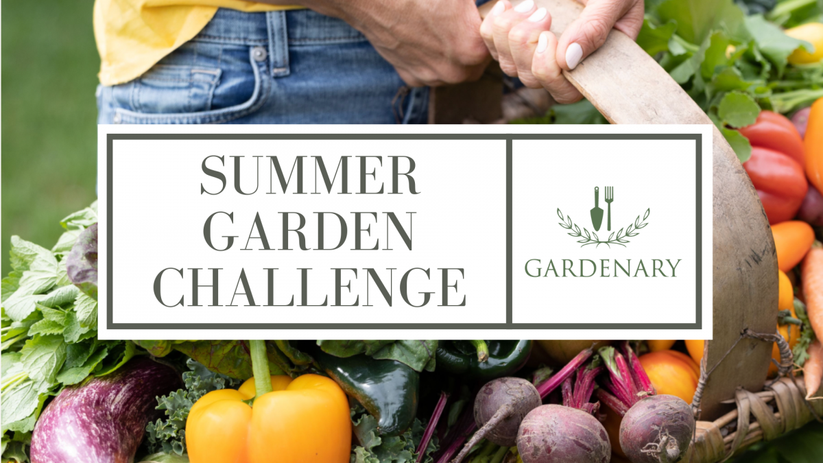 Summer Garden Challenge • Gardenary
