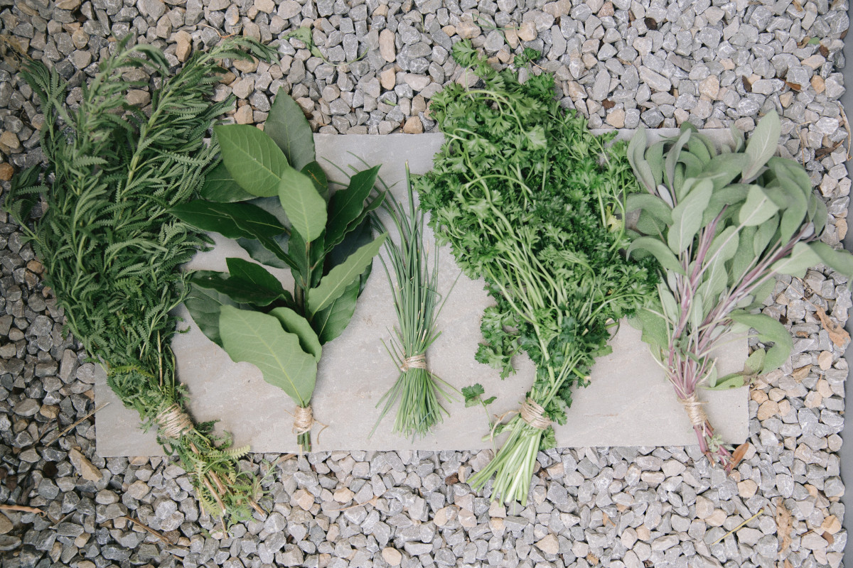Unlock Herb Garden Courses • Gardenary