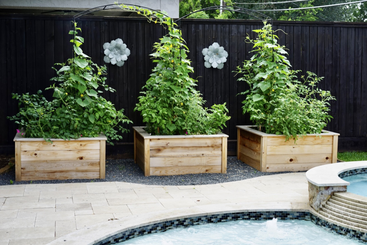 Gardenary's Paris Arch Trellis in Raised Garden Beds • Gardenary