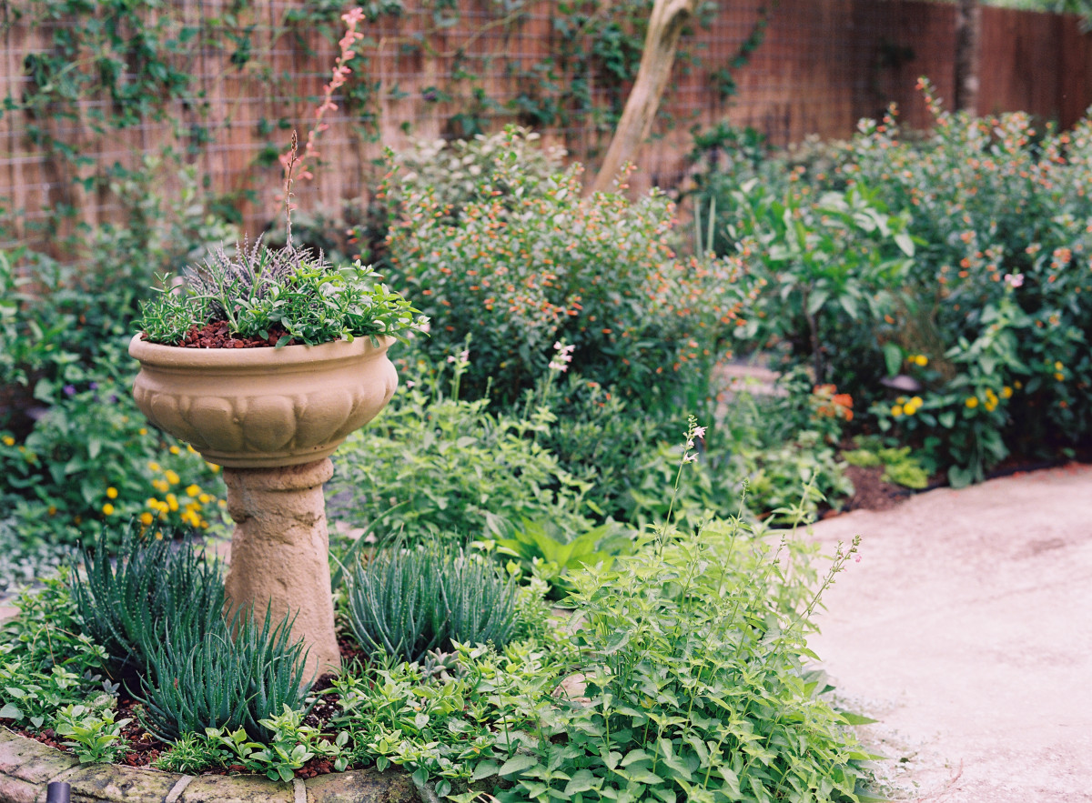 How to Start a Pollinator Garden in 5 Easy Steps • Gardenary