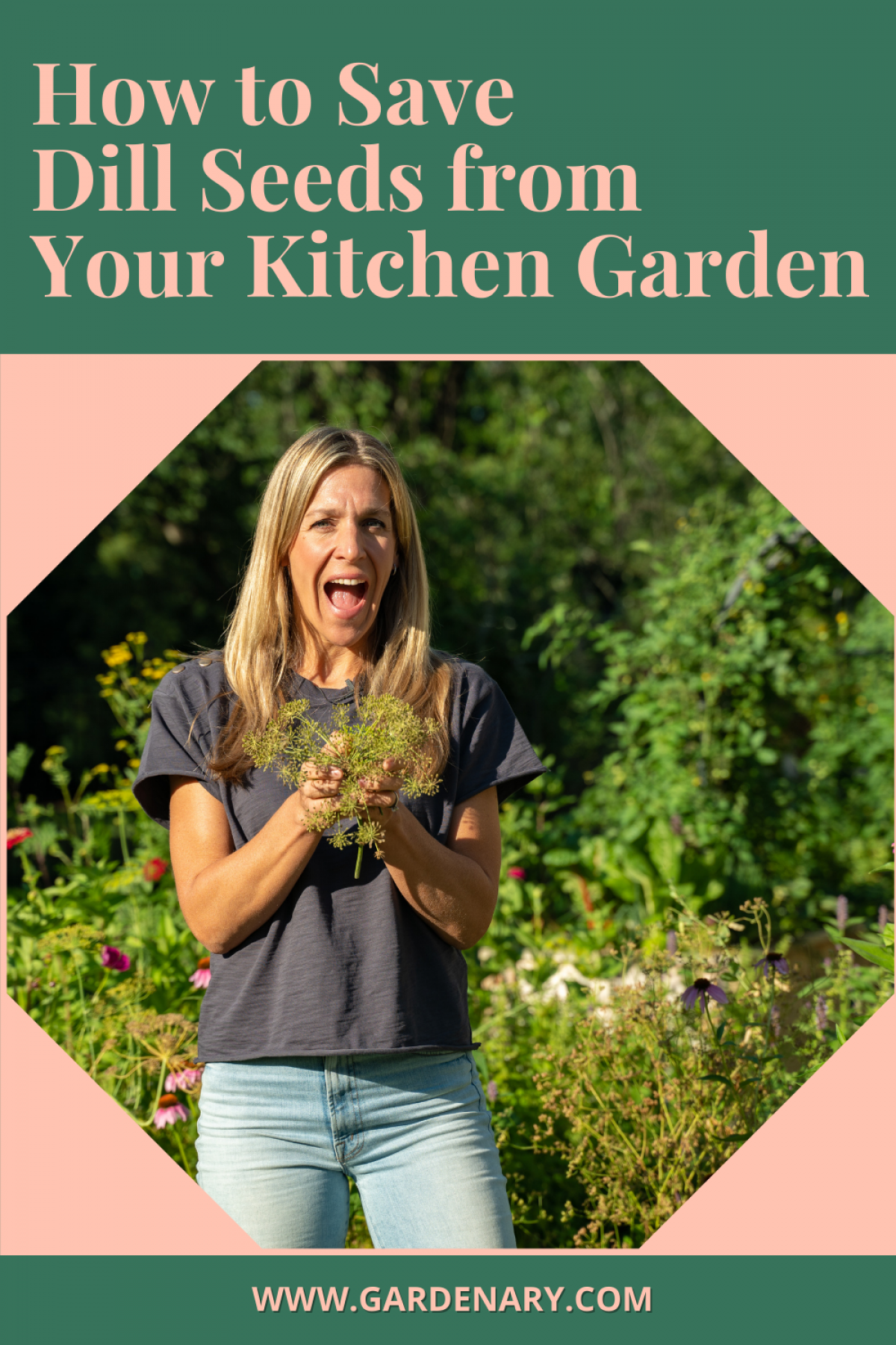 How to Save Dill Seeds from Your Kitchen Garden • Gardenary