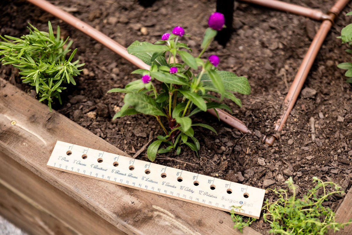 5 Clever Tricks to Making Seed Sowing Easier (and More Fun!) • Gardenary