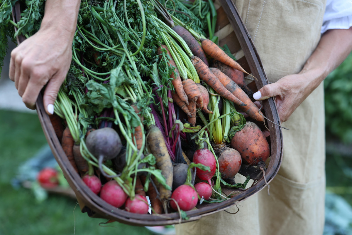 The Complete Guide to Growing Root Crops in an Organic Kitchen Garden ...