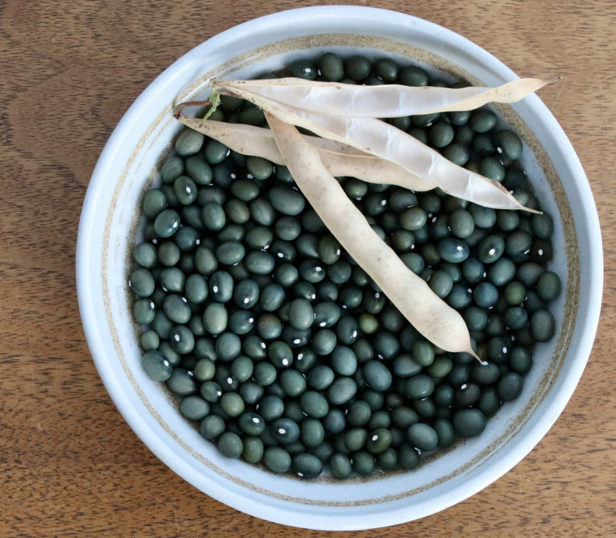 If You Don't Know Beans About Beans • Gardenary