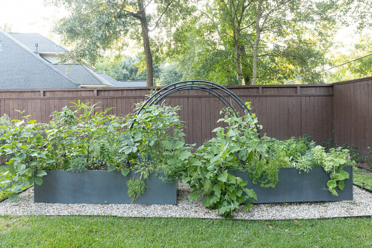 The Ultimate Guide to Summer Gardening • Gardenary