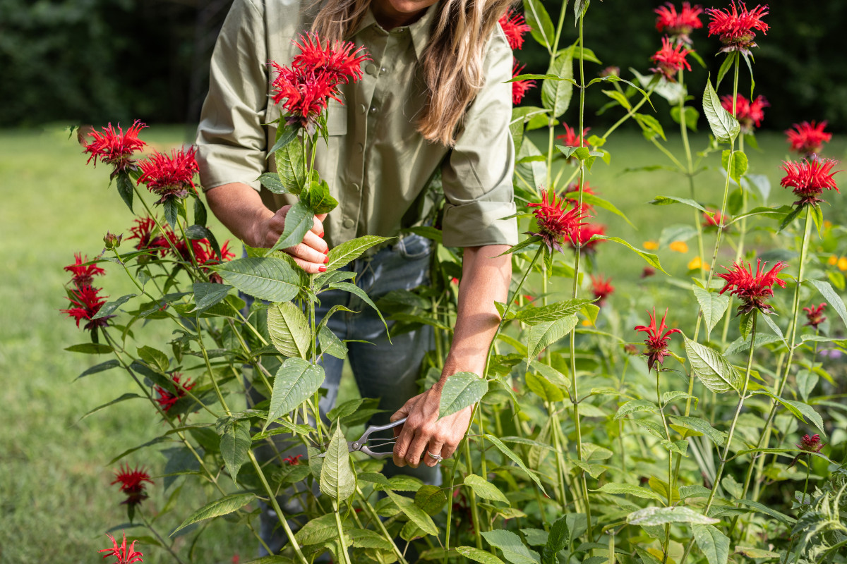 3 Key Ways to Practice Sustainable Gardening • Gardenary