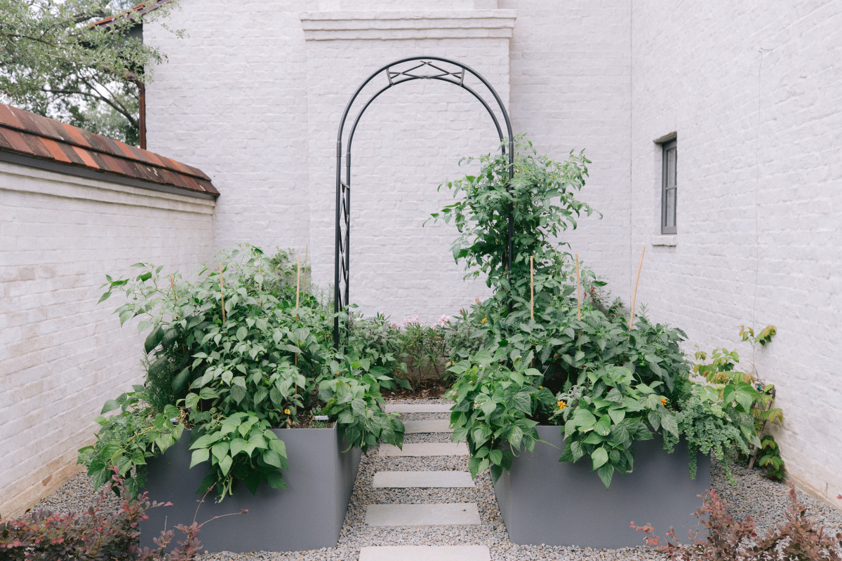 The Complete Guide to Starting a Garden (the Right Way) • Gardenary