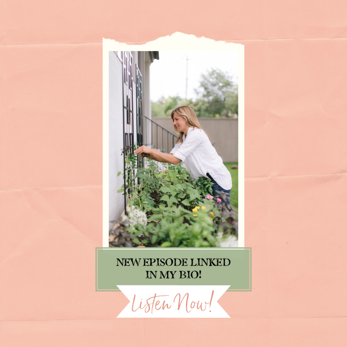 3 Tips to Grow Houseplants from Maria Failla of Bloom and Grow Radio ...