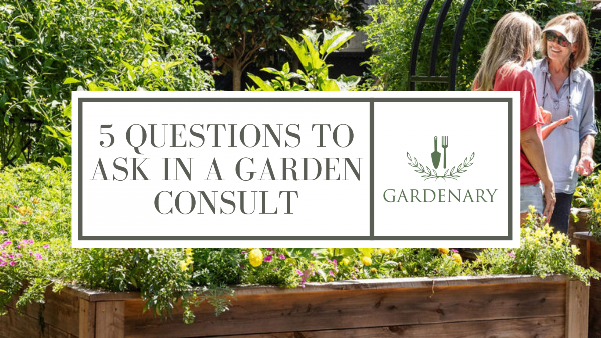 5 Questions To Ask In A Garden Consult - Watch • Gardenary