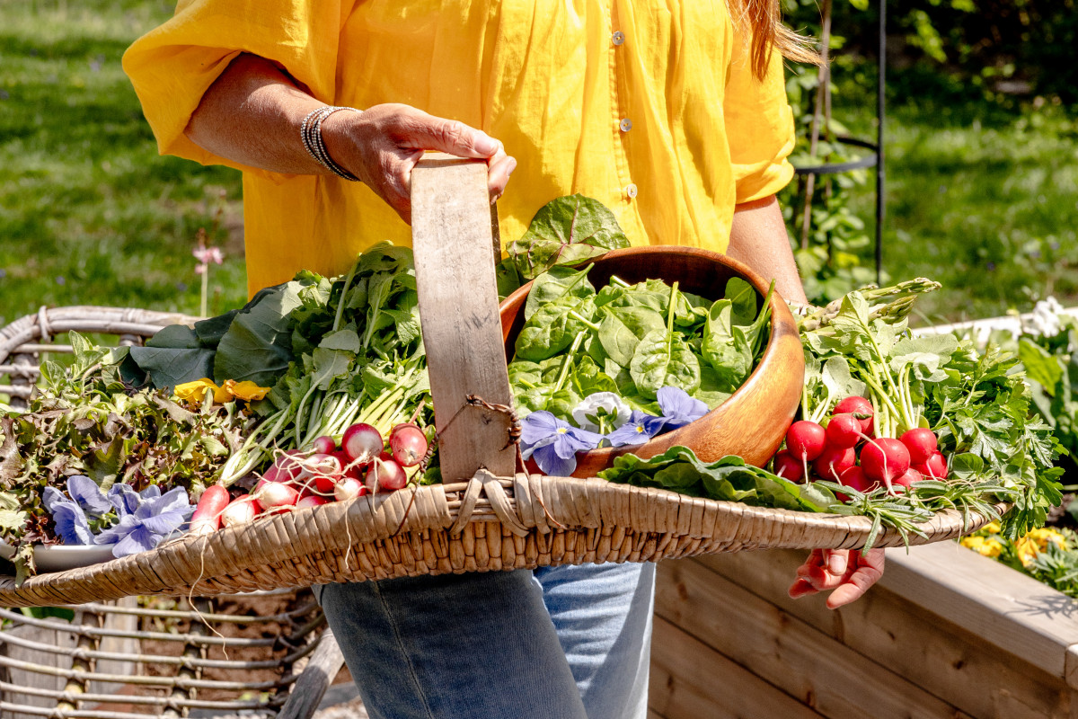 10 of the Easiest Vegetables to Grow in Spring • Gardenary