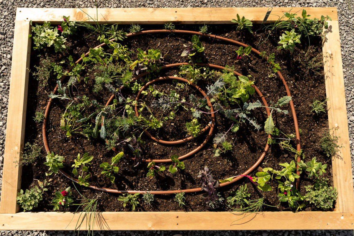How to Set Up a Super Simple Irrigation System for Raised Garden Beds ...