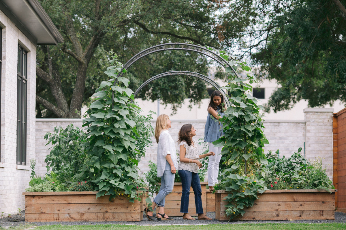 5 Questions To Ask Your Garden Consultant • Gardenary