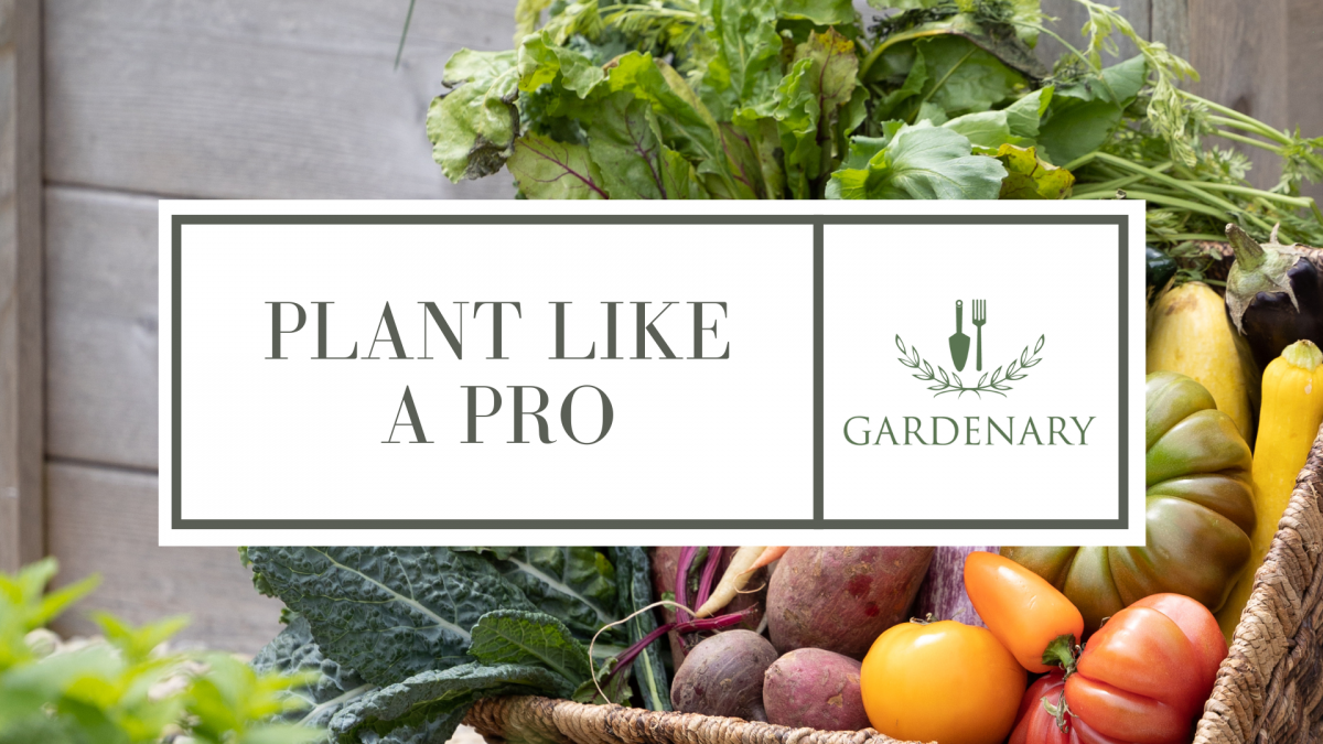 Plant Like a Pro • Gardenary