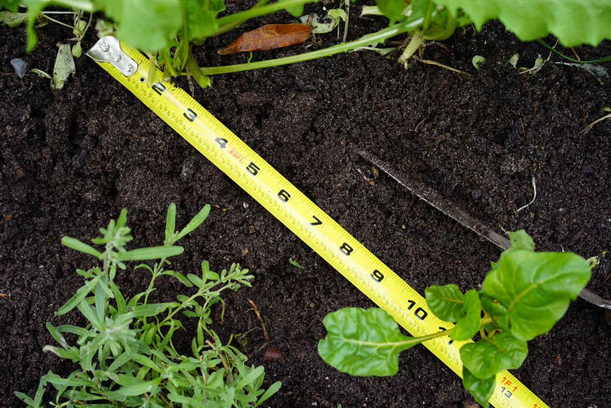 Measurements You NEED to Know For Your Raised Bed Garden • Gardenary