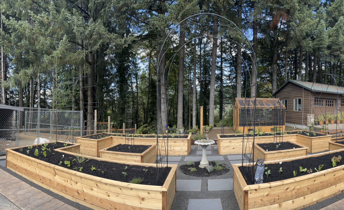 Tour This Large Front Yard Garden by Noble Root • Gardenary