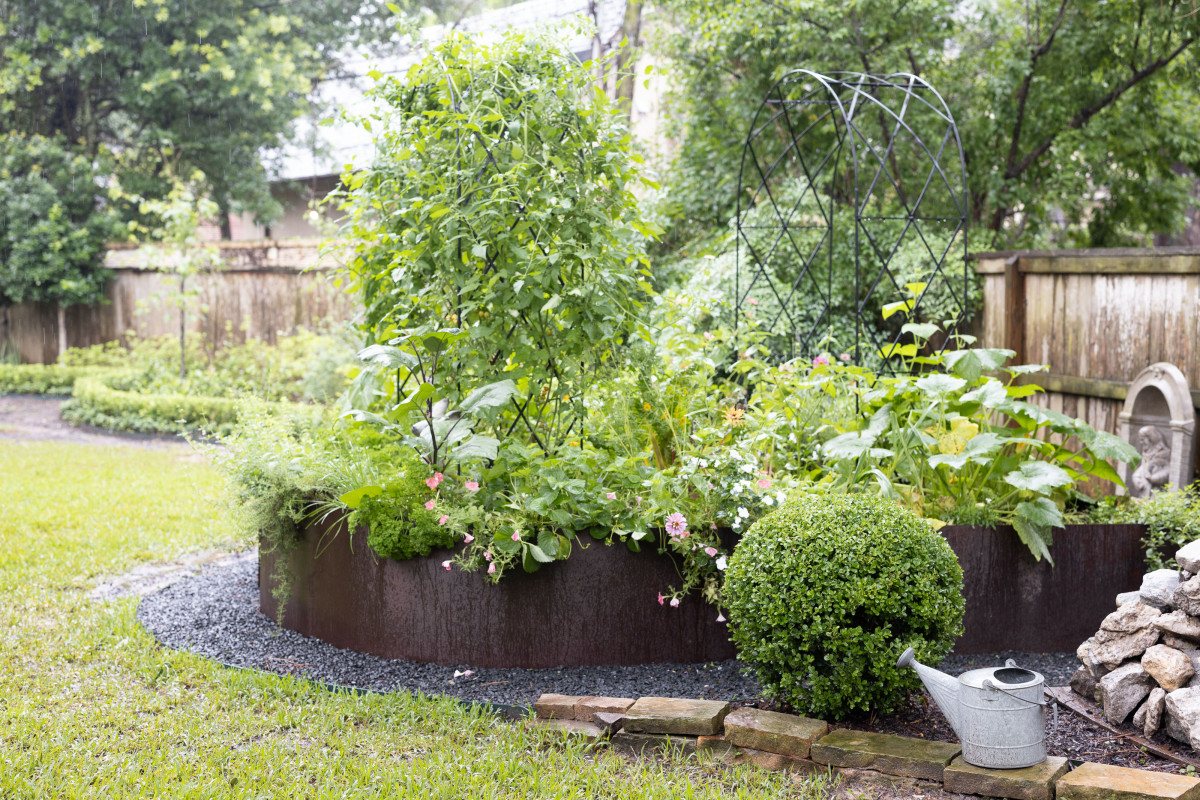 Gardenary's Traditional Diamond Rounded Trellis in Raised Garden Beds ...