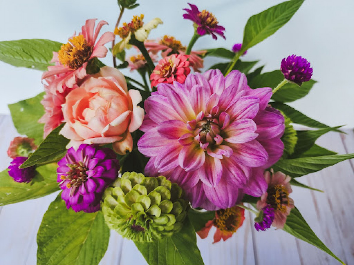 How To Start A Cut Flower Garden For Beginners Gardenary