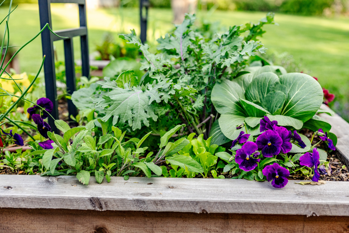 The Easy Plant Spacing Method for Any Garden • Gardenary