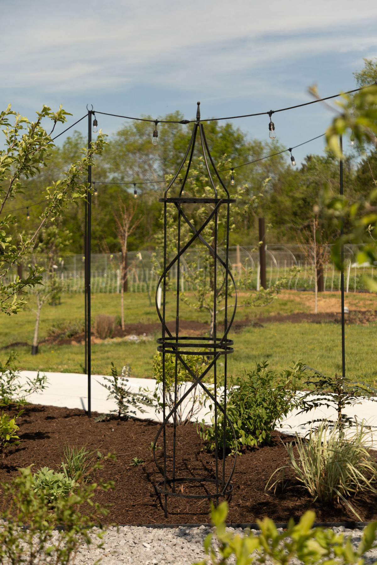 Gardenary's Border Tuteur Trellis Kit • Gardenary