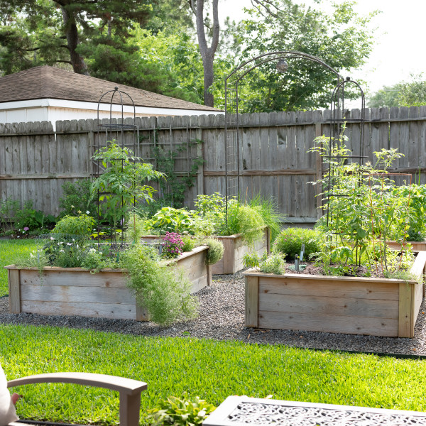 How Build Backyard Garden Box