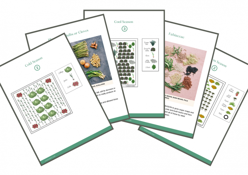 Watch The Garden Workshop Replay • Gardenary