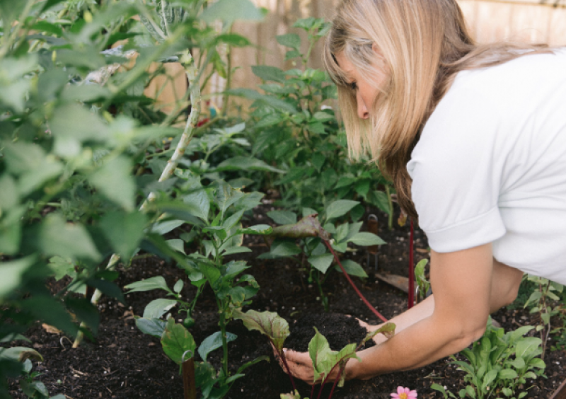 The Gardenary Way Workshop • Gardenary