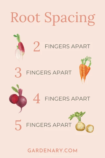 The Complete Guide to Growing Root Crops in an Organic Kitchen Garden ...