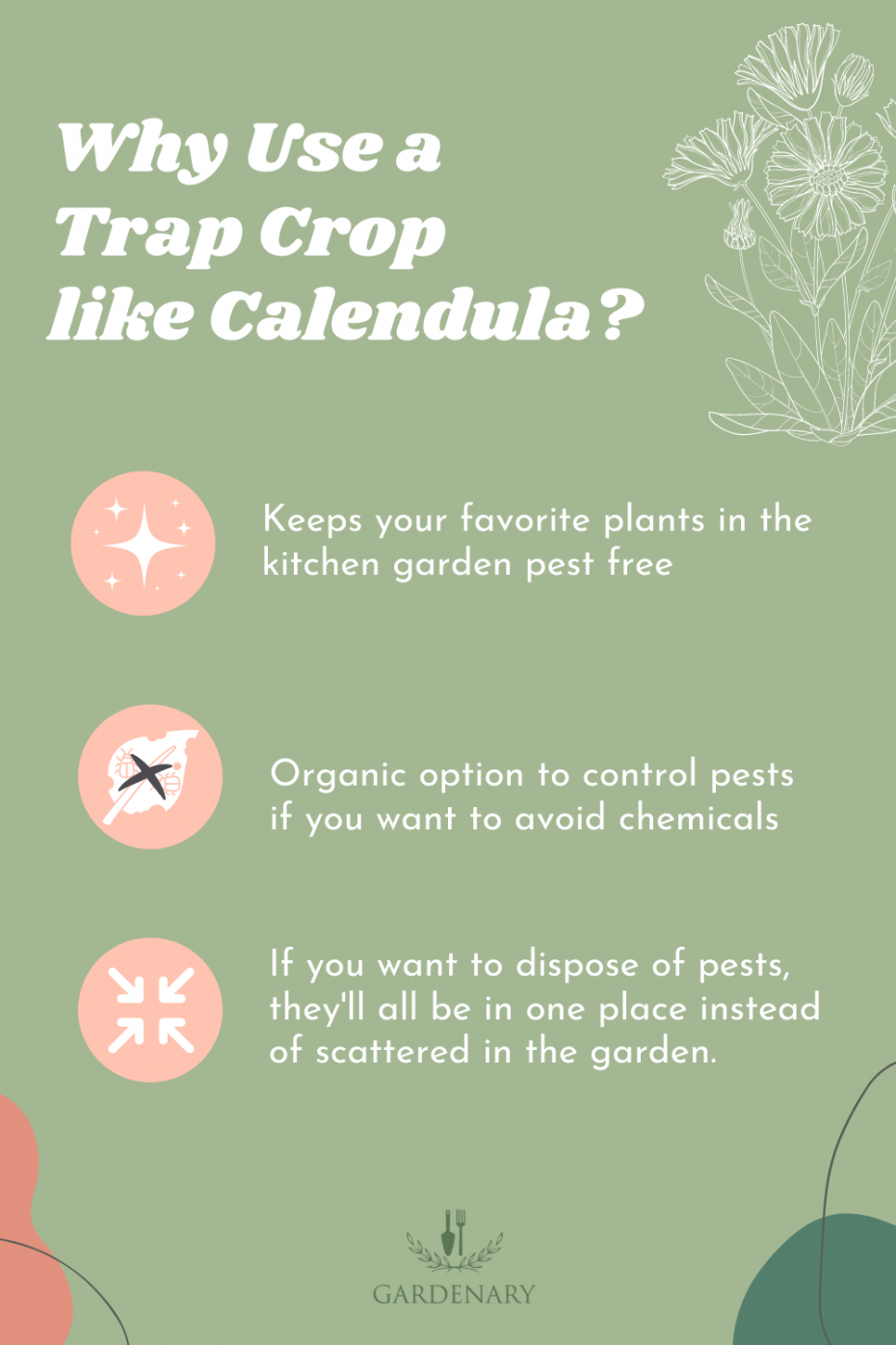 Benefits of Growing a Trap Crop • Gardenary