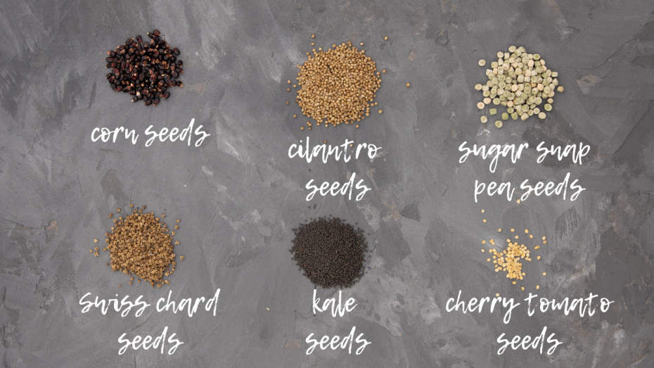 Can Seeds Expire Or Go Bad Gardenary