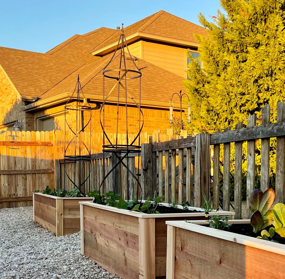 What Kind of Trellis Should You Use in Your Kitchen Garden? • Gardenary