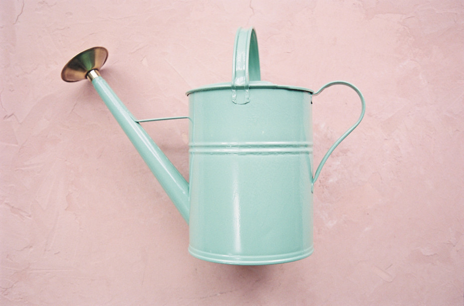 My Favorite Kitchen Gardening Tools • Gardenary