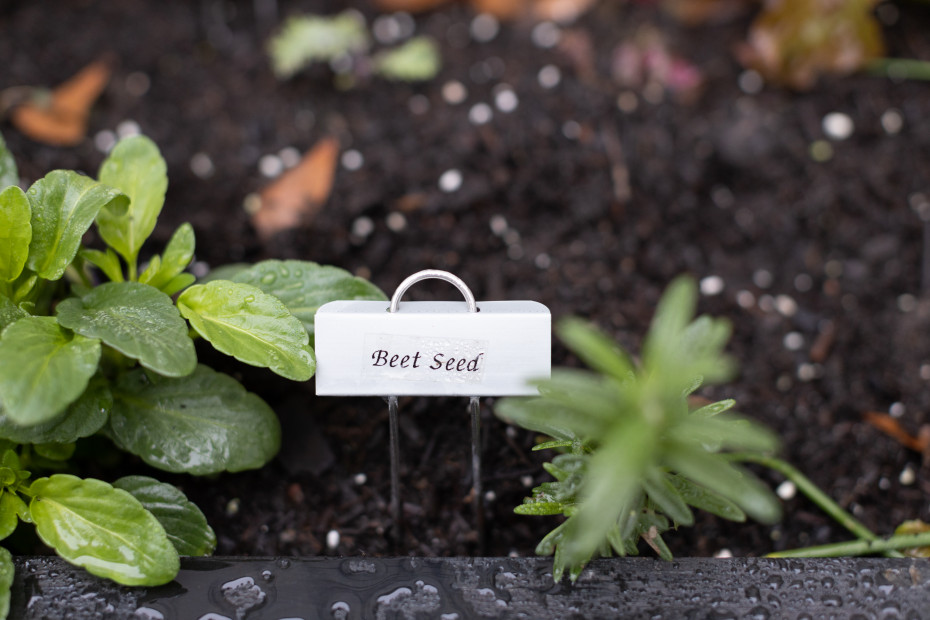 My Favorite Kitchen Gardening Tools • Gardenary