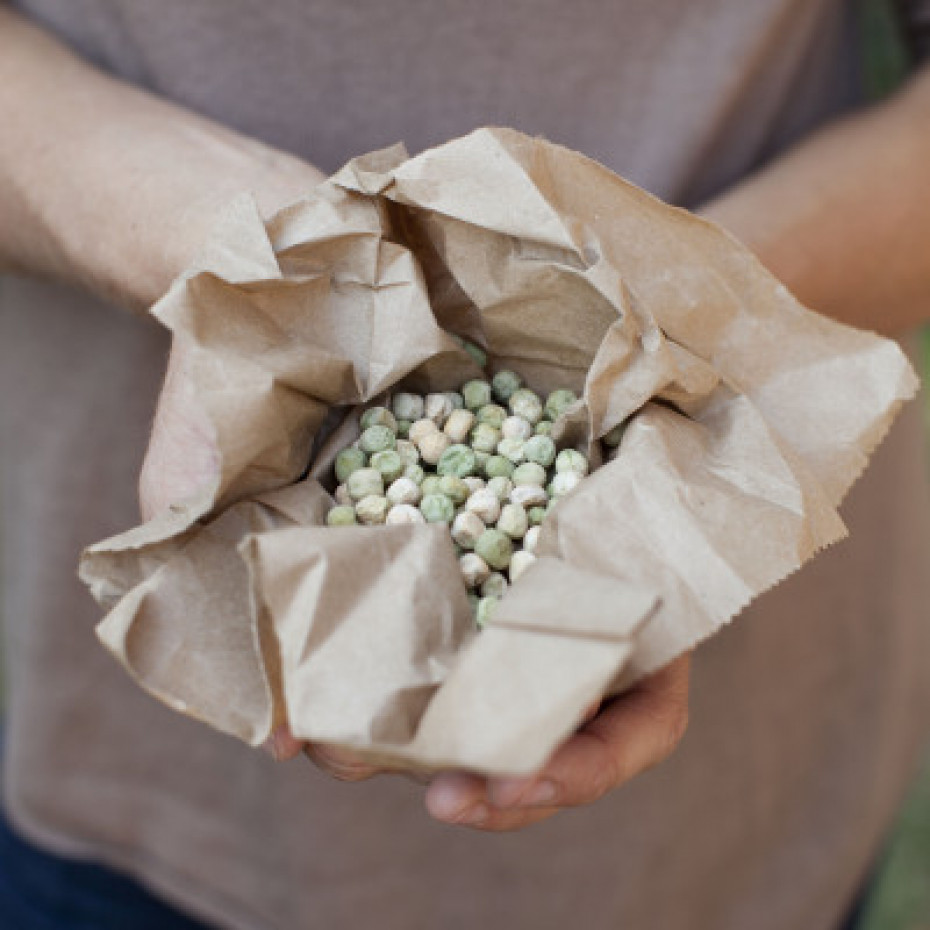 How to Plant Sugar Snap Peas in Your Garden in 3 Easy Steps • Gardenary